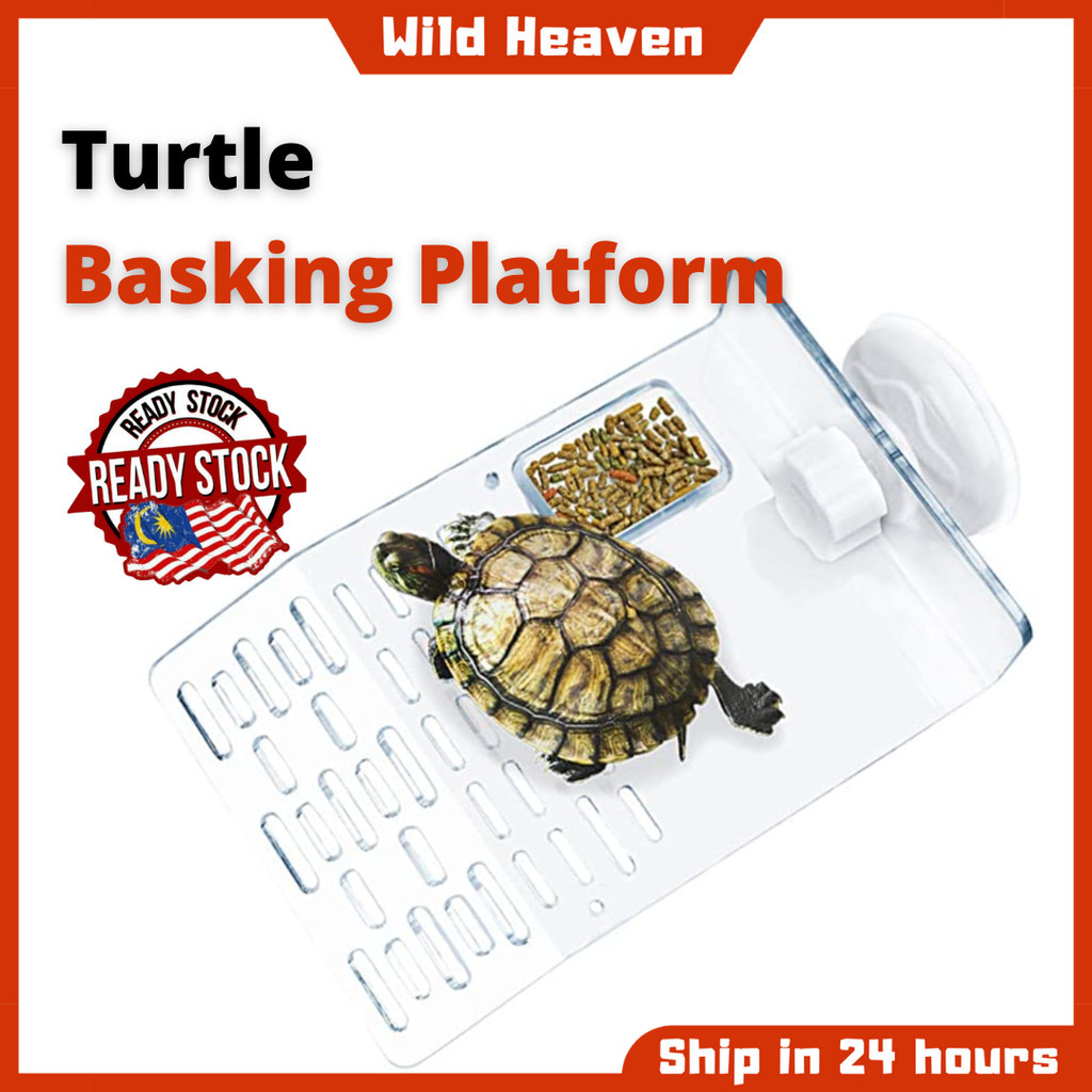 Turtle Basking Platform Tortoise Ramp Reptile Tank Ladder Resting ...