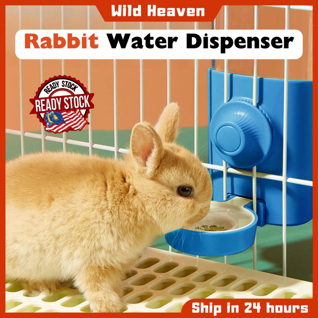 Rabbit Water Dispenser Water Bowl Hanging Fountain Automatic Dispenser ...