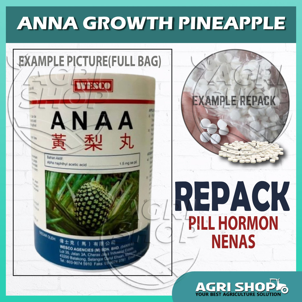 (REPACK) Agrishop ANAA Pil Hormon Nenas Nanas Growth Pineapple 50PCS ...