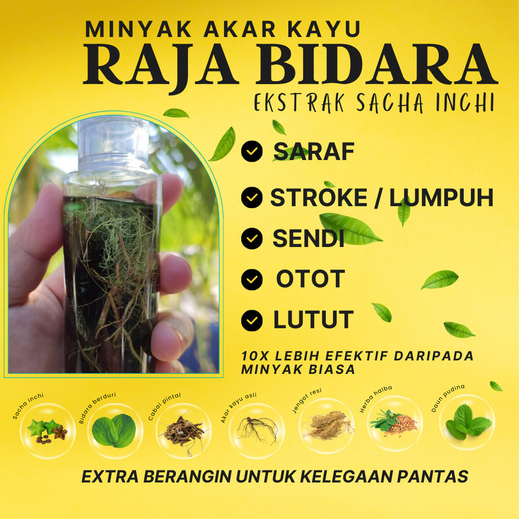 Raja Bidara Minyak Akar Kayu Ekstrak Sacha Inchi Oil Massage Urut Badan ...