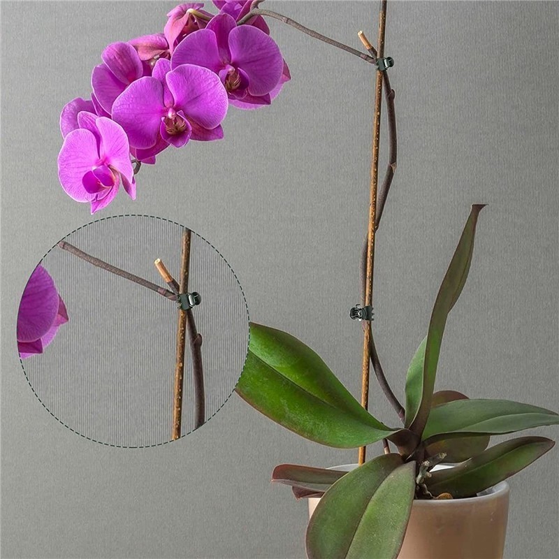 Plant Support Pile Single Stem Flower Support Stake Bonsai Flower Stand ...