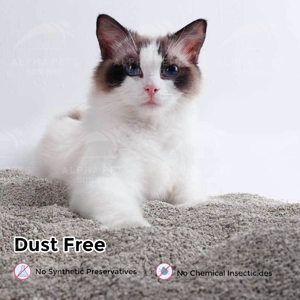 POODEE GRAFINITE 4KG 100% Dust Free Premium Quality Clumping Volcanic ...