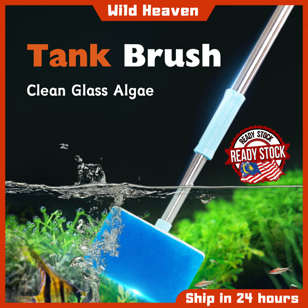 Tank Brush Glass Wall Cleaning Brush Fish Tank Cleaning Tool Long ...
