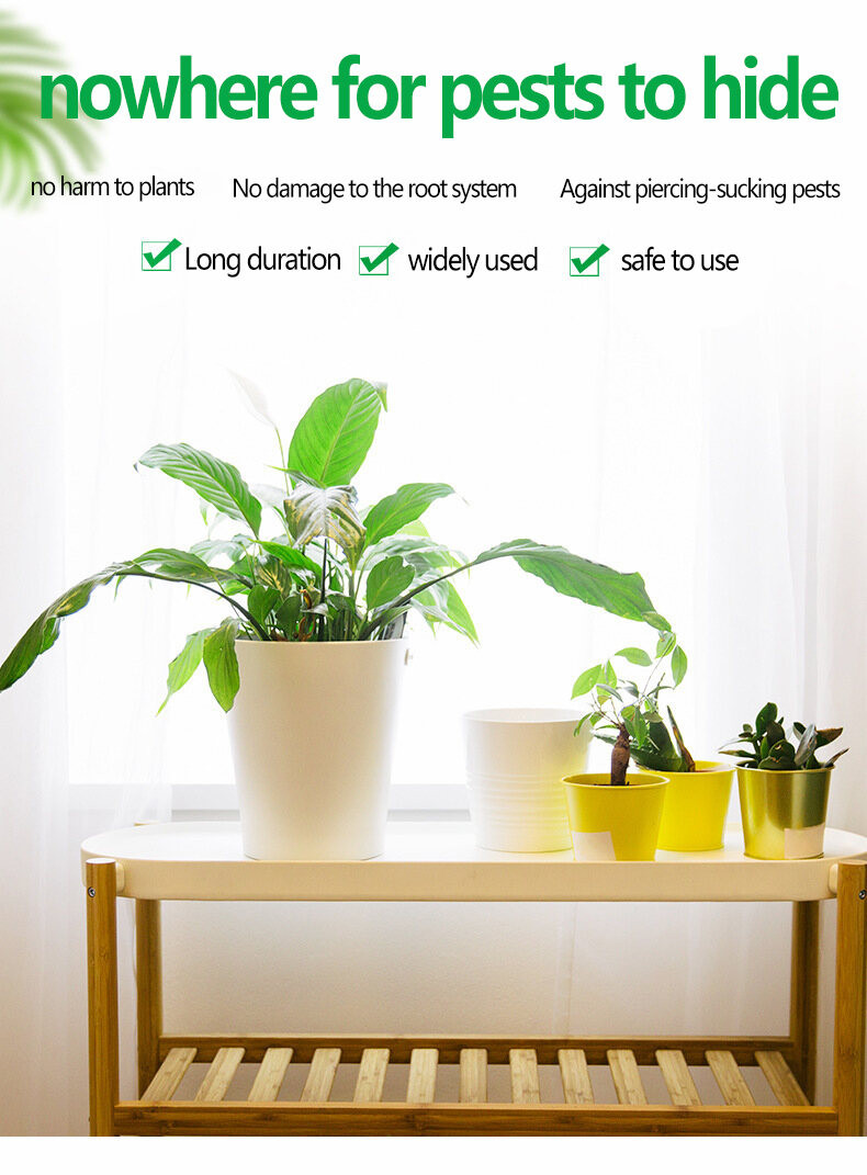 Kill all the pests！！WB racun serangga tanaman pesticides for plants ...