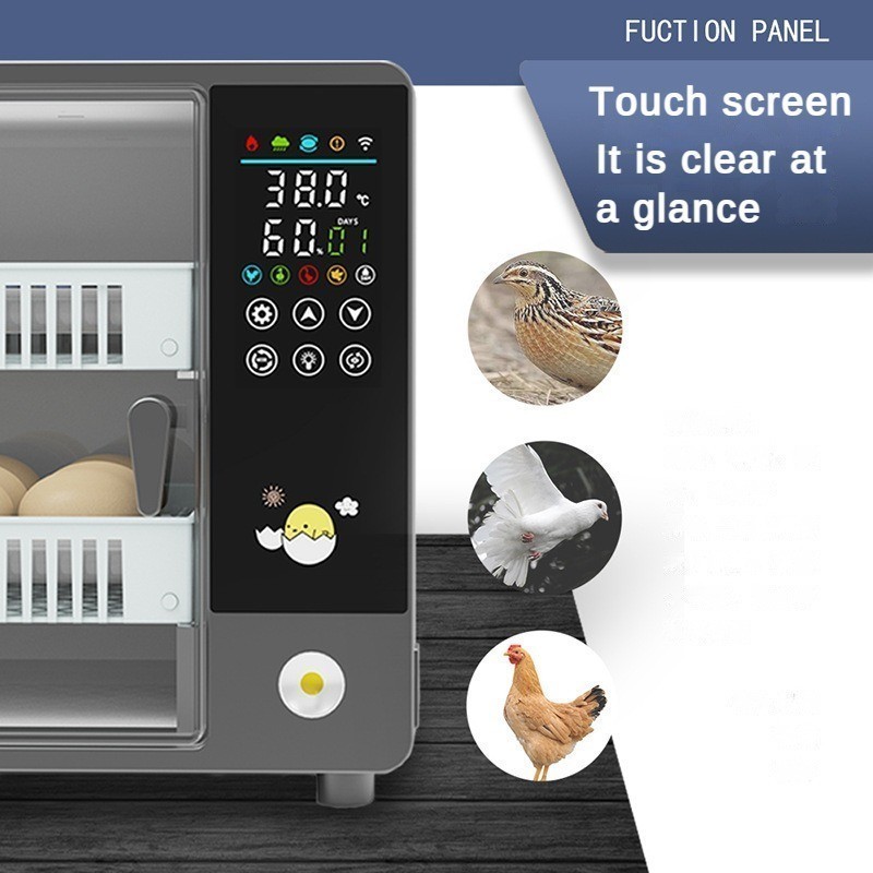 50W Household Fully Automatic Incubator Small Digital Display Screen ...