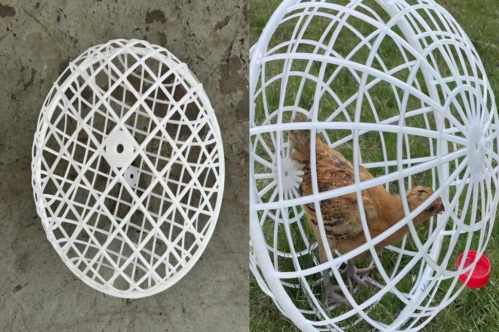 roeaceh Pigeon Round Coop Chicken Ball Cage Portable Round Chicken Coop ...