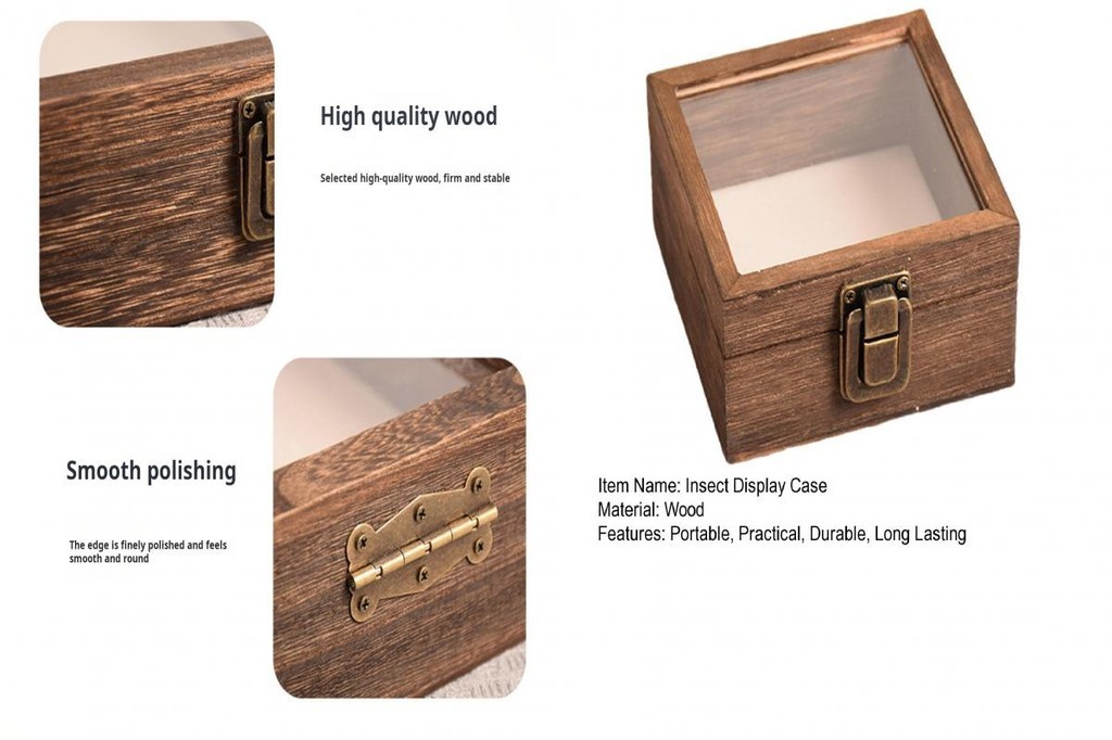 OR_ Wooden Display Case Large Wooden Insect Display Case High-quality ...