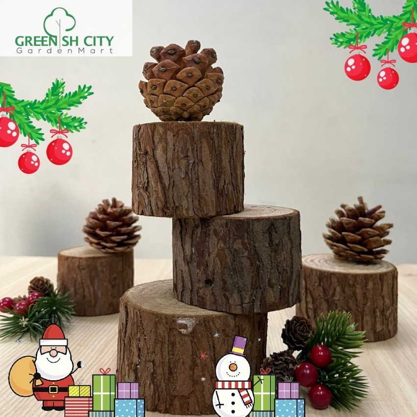 GNC- SNOW Xmas Artificial Deco Wood Block & Mini Pinecone & Pine Tree ...