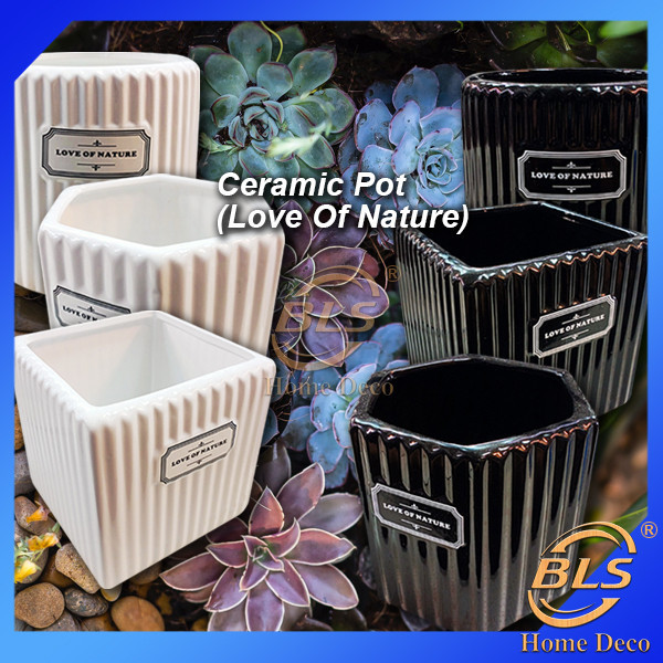 Pottery Flower Pot Cactus Succulent Ceramic Pot (Love Of Nature) Pasu ...