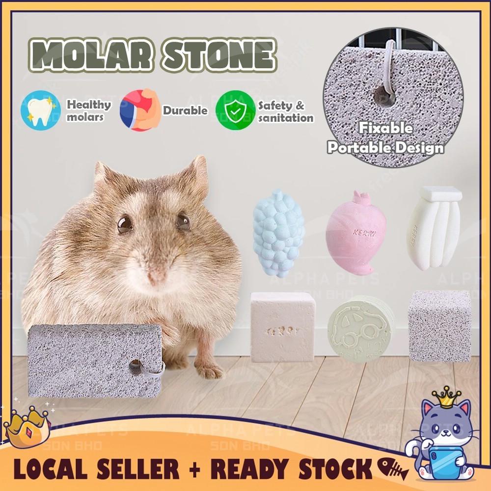 ALPHAPETS Small Animal Rabbit Guinea Pig Mineral Stone Teeth Grinding ...