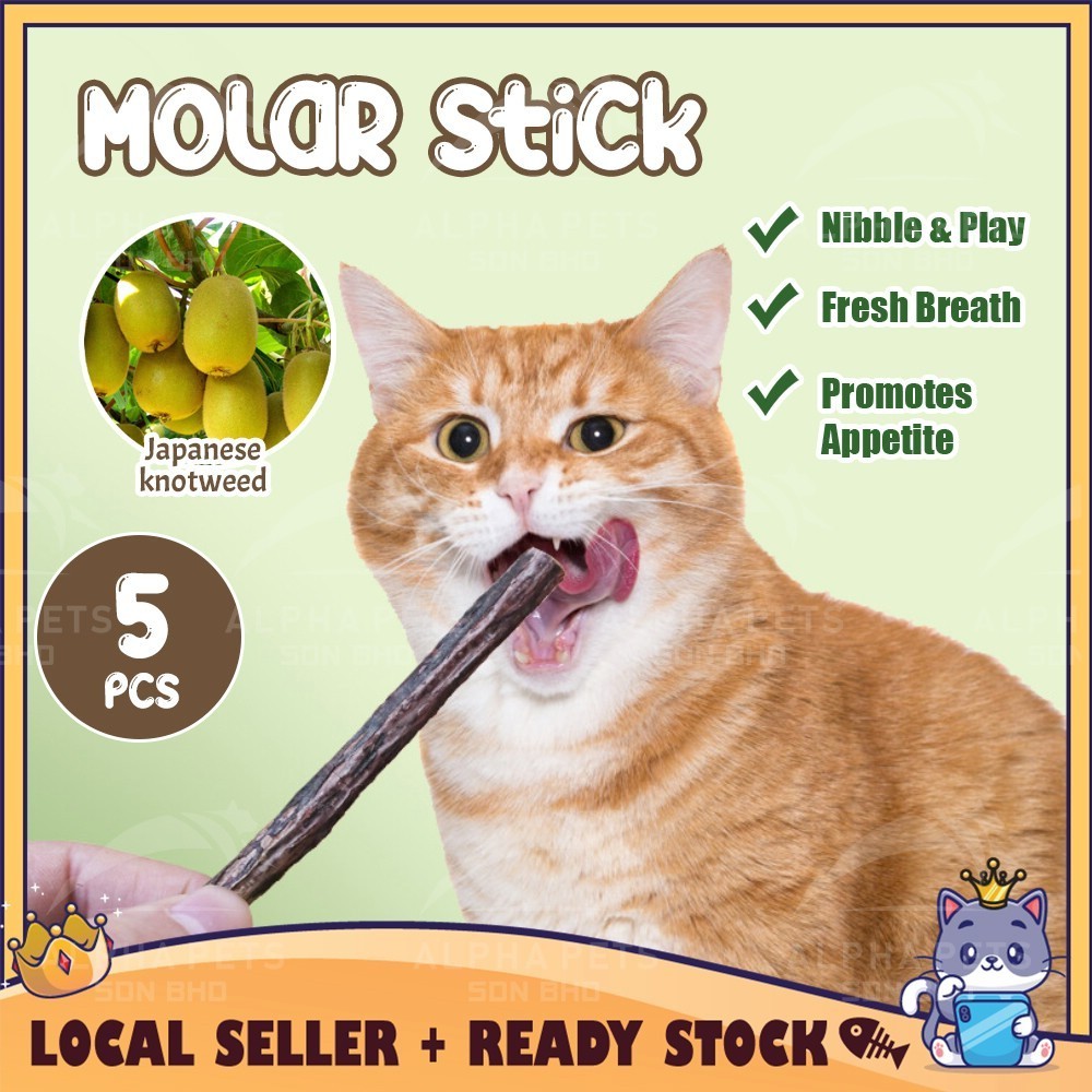 CATQUEEN Catnip Cat Treats Wood Matatabi Teeth Molar Cleaning Cat Chew ...