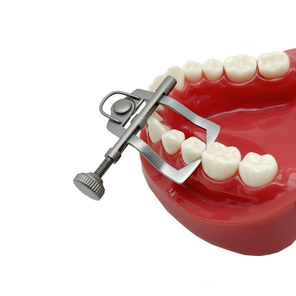 Dental Tooth Separator Anterior/Posterior Divider Wedges Retainer ...