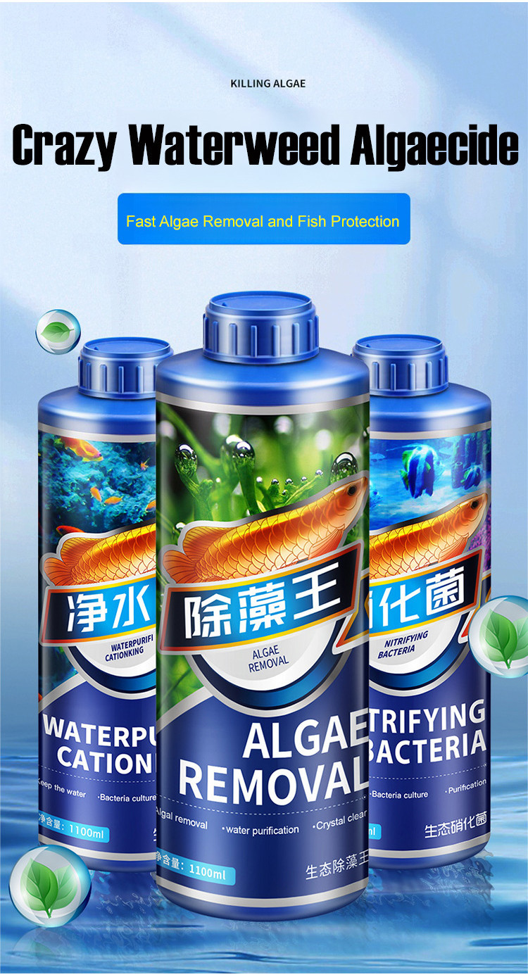 【Algae King】Crazy Aquatic Weed Algae Remover Algaecide Removal of Algae ...