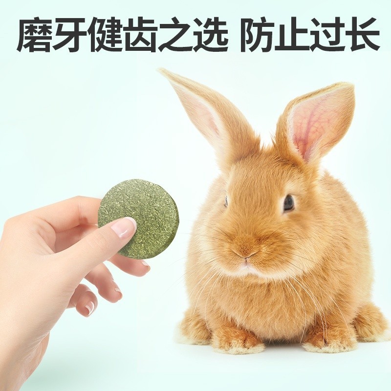 PetCoCo🐾Naturalists Furrific Molar Hay Biscuit 7pcs Guinea Pig Rabbit ...