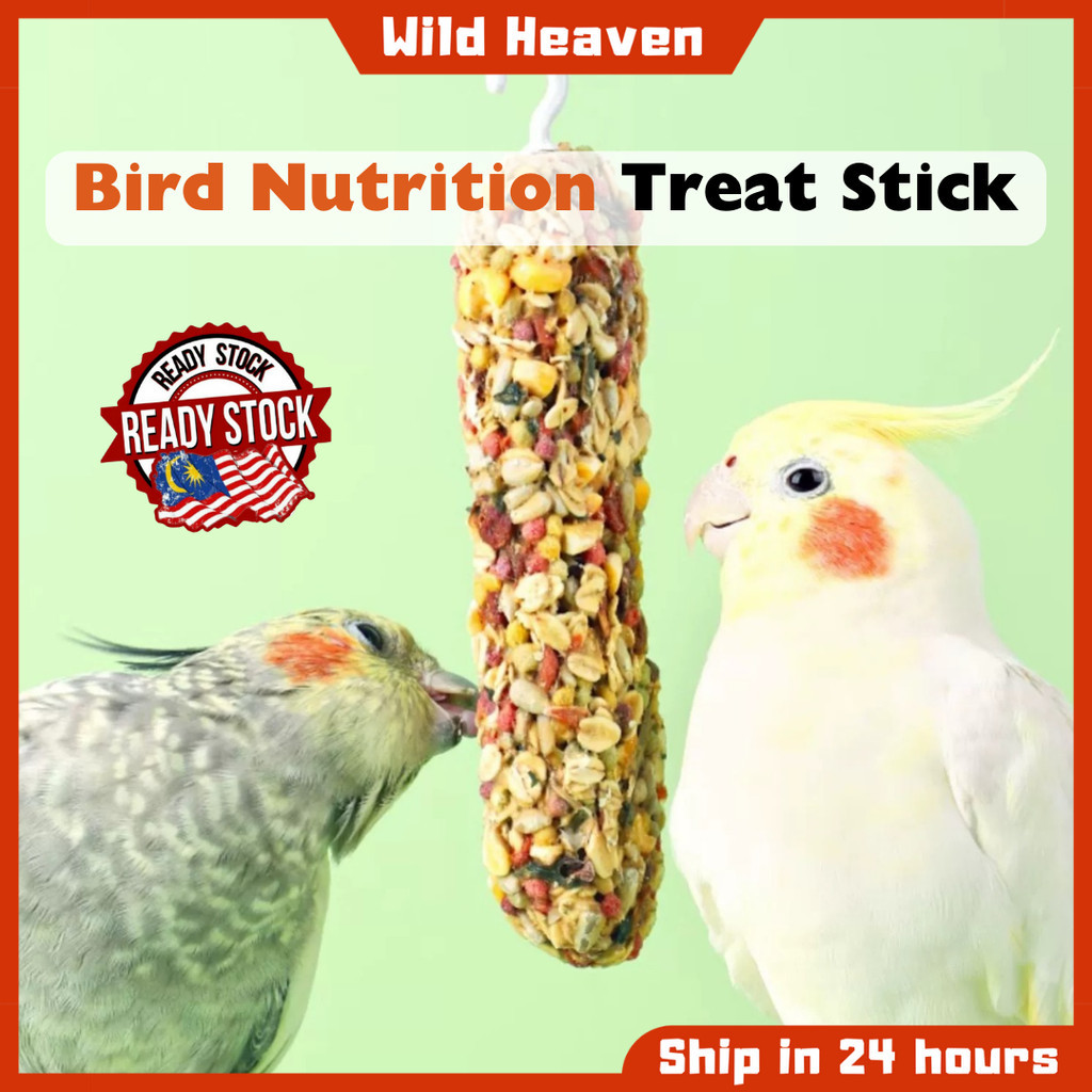 Bird Cereal Stick Cockatiel Treats LoveBird Snack Honey Flavour ...