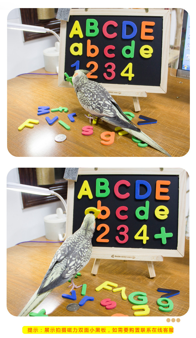 Magnetic Alphabet Color ABCD Letter Number Symbol Early Education ...