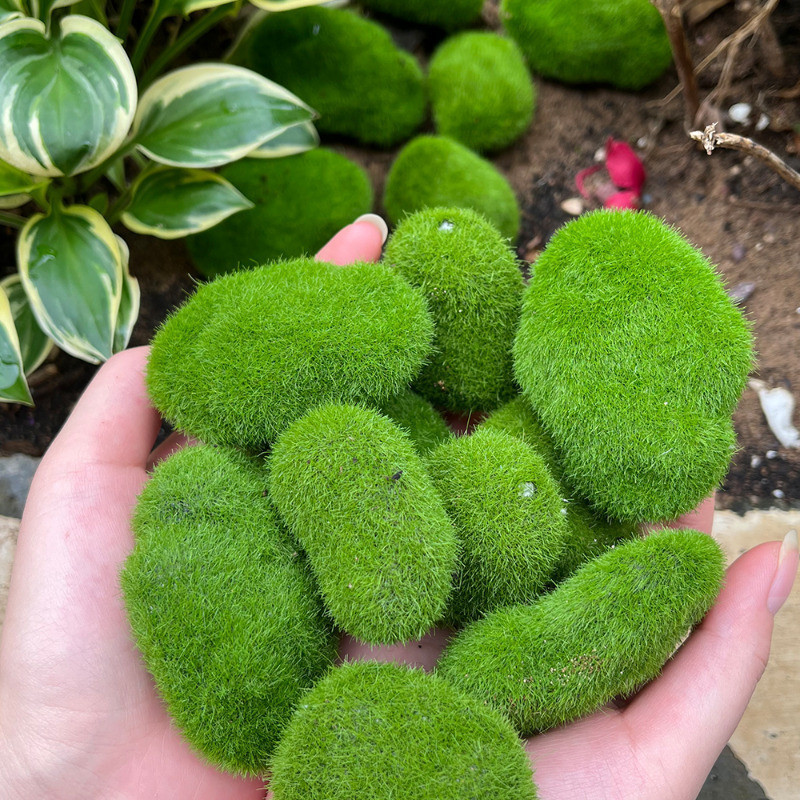 30-100g Simulated Artificial Moss - DIY Fake Filamentous Moss - Lawn ...