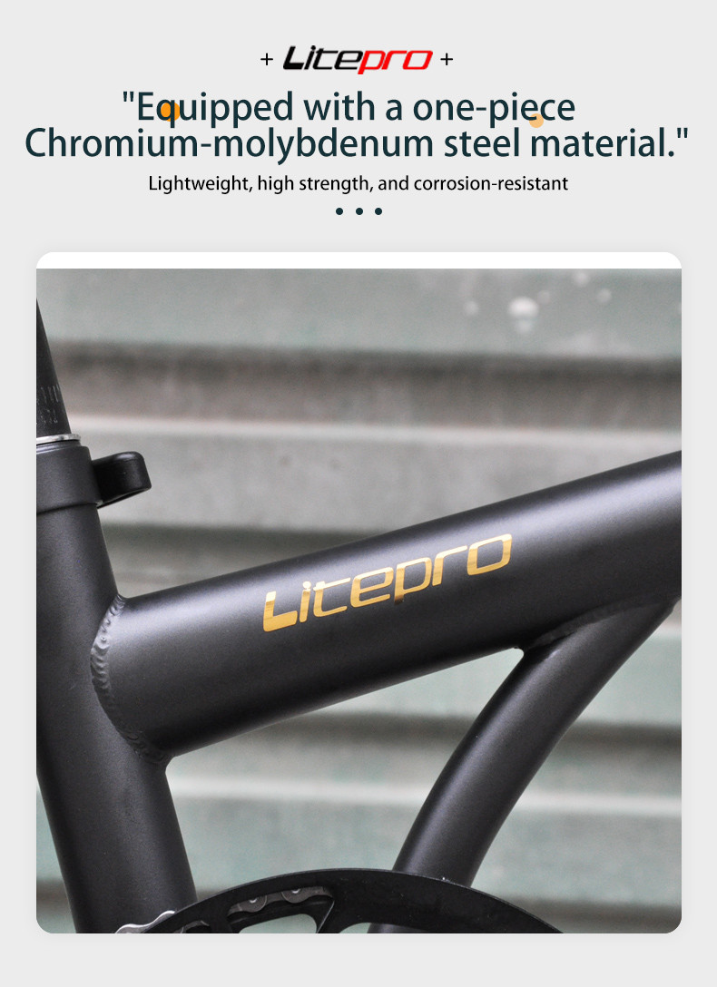 Litepro 20 Inch 9 speed Folding Bike With Dual C-brakes Suitable For ...