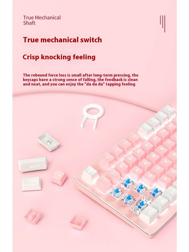 EWEADN Pink Mechanical Keyboard & Mouse Set for Girls - Blue Switch ...