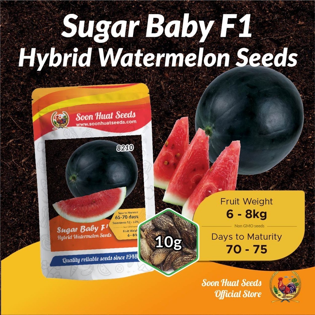 [10g] 8210 Benih Tembikai Hitam Sugar Baby Soon Huat Seeds | Shopee ...