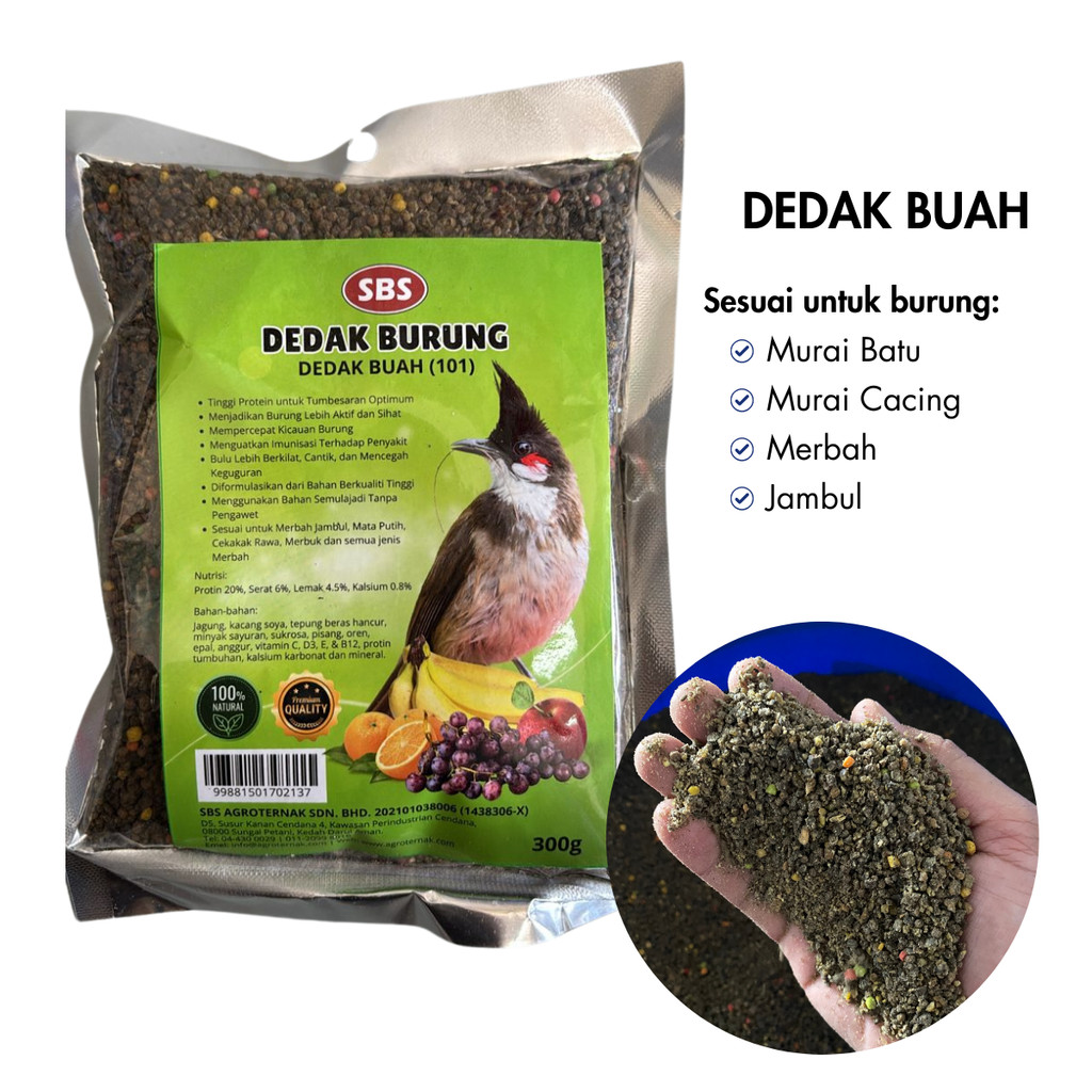 [300G] DEDAK BURUNG MURAI, MURAI BATU, BULBUL, MERBAH,MERBAH JAMBUL ...