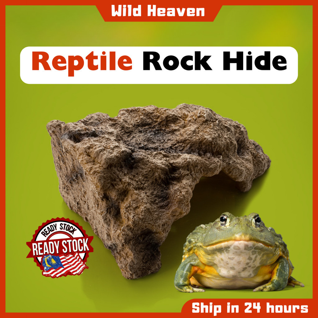 Reptile Rock Hide Resin Amphibian Hideouts Cave Frog Tortoise Turtle ...
