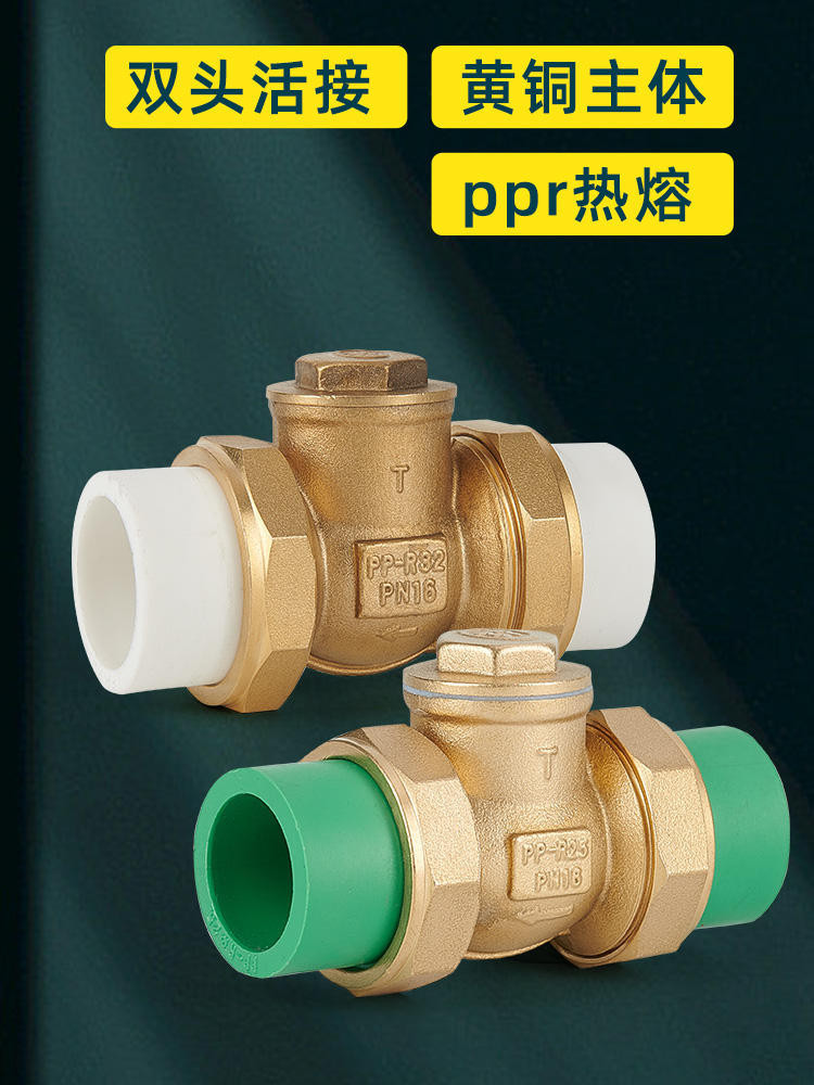Check Valve Horizontal Hot Melt 20PPR Double Living Connection Check ...