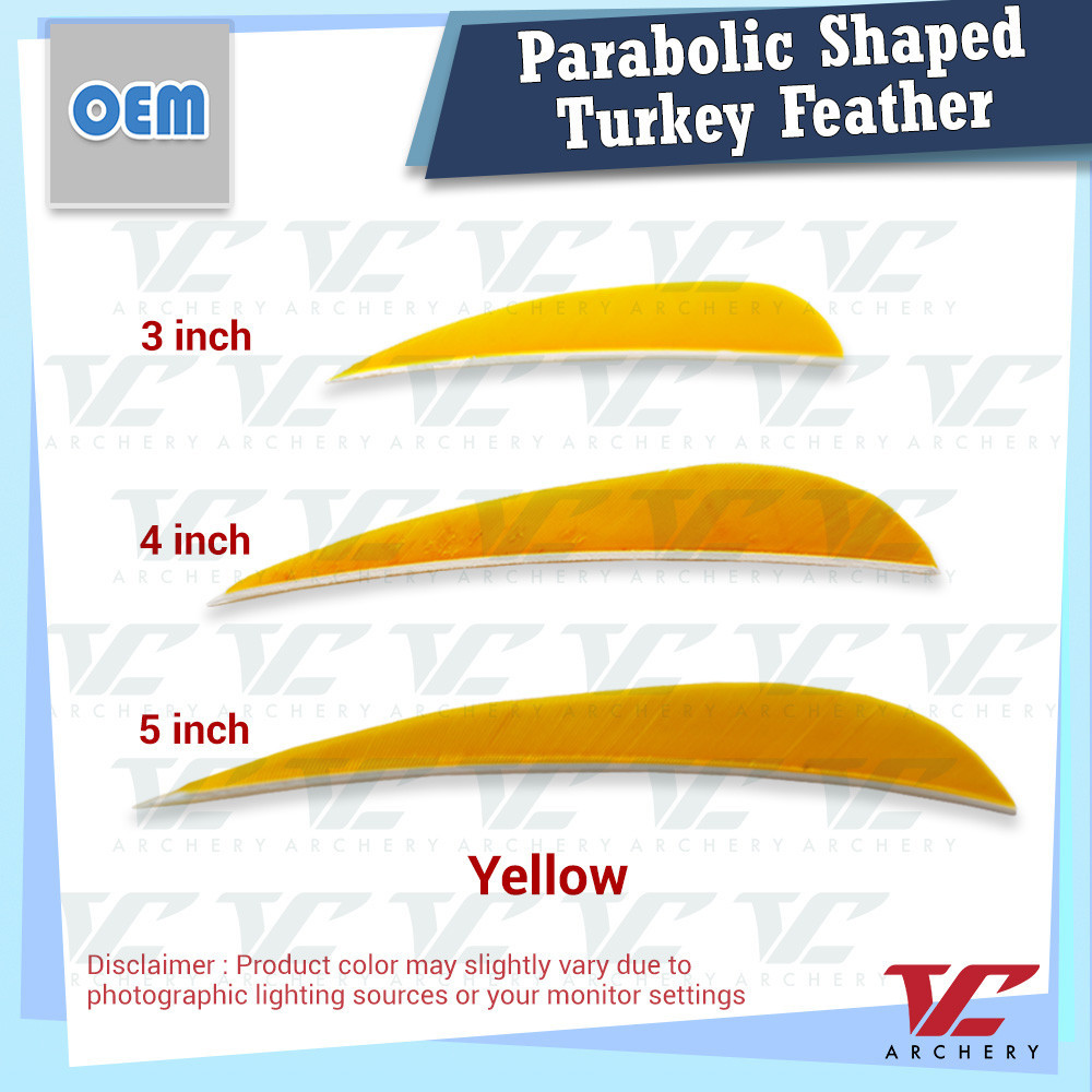 V Club Archery Turkey Feather Parabolic Shaped Fletching Vanes - 3" 4 ...