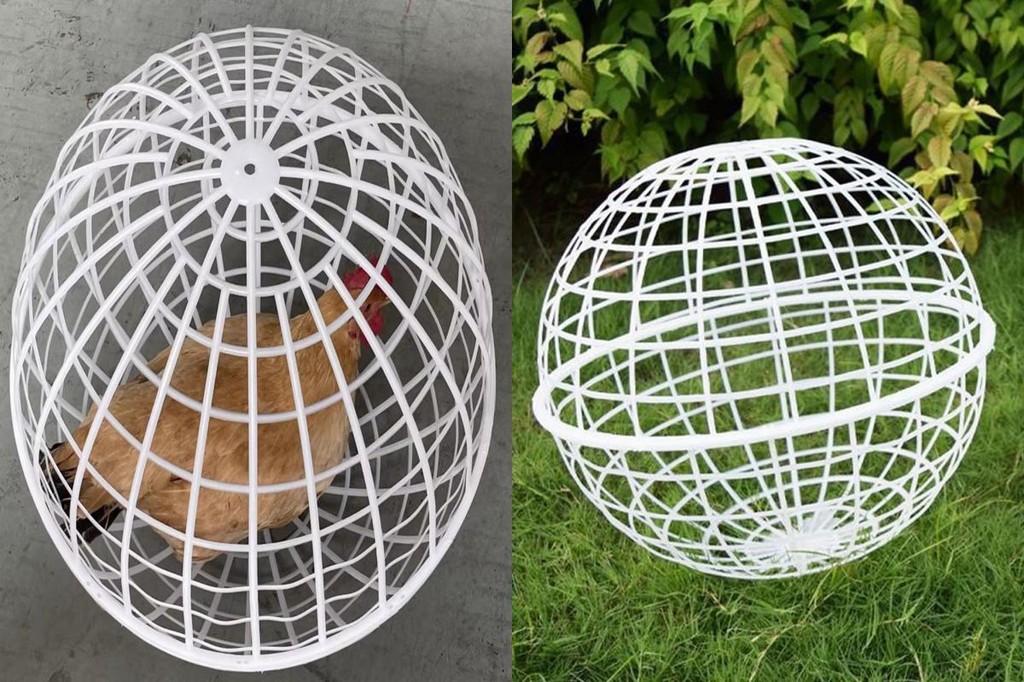 {downey} Versatile Small Enclosure Chicken Ball Cage Portable Round ...