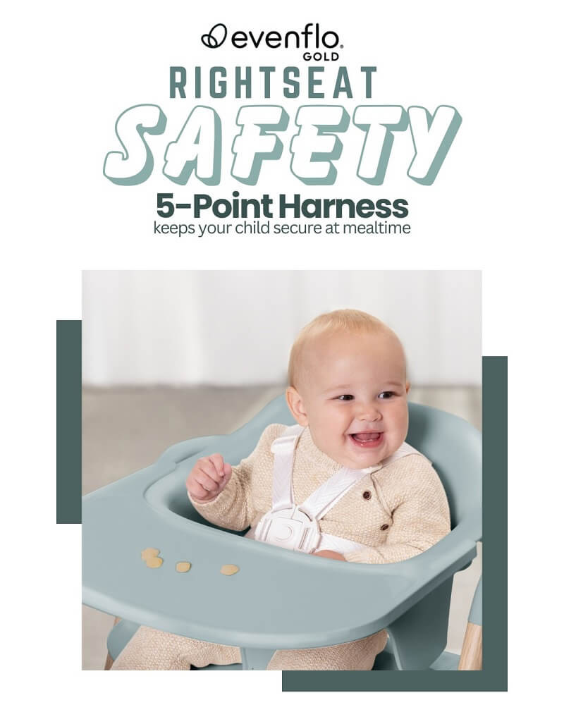 Evenflo Rightseat Multistage Highchair (6 months to 45.4kg) | Shopee Malaysia