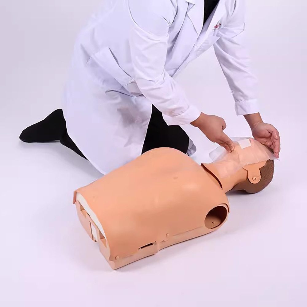 Half Body Adult CPR Training Manikin Professional Nursing Training ...