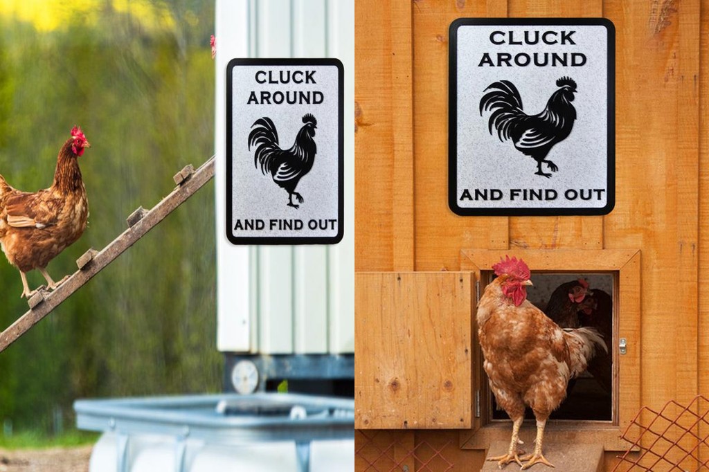 Home Decor with A Touch of Humor Funny Chicken Decor Rustic Chicken ...