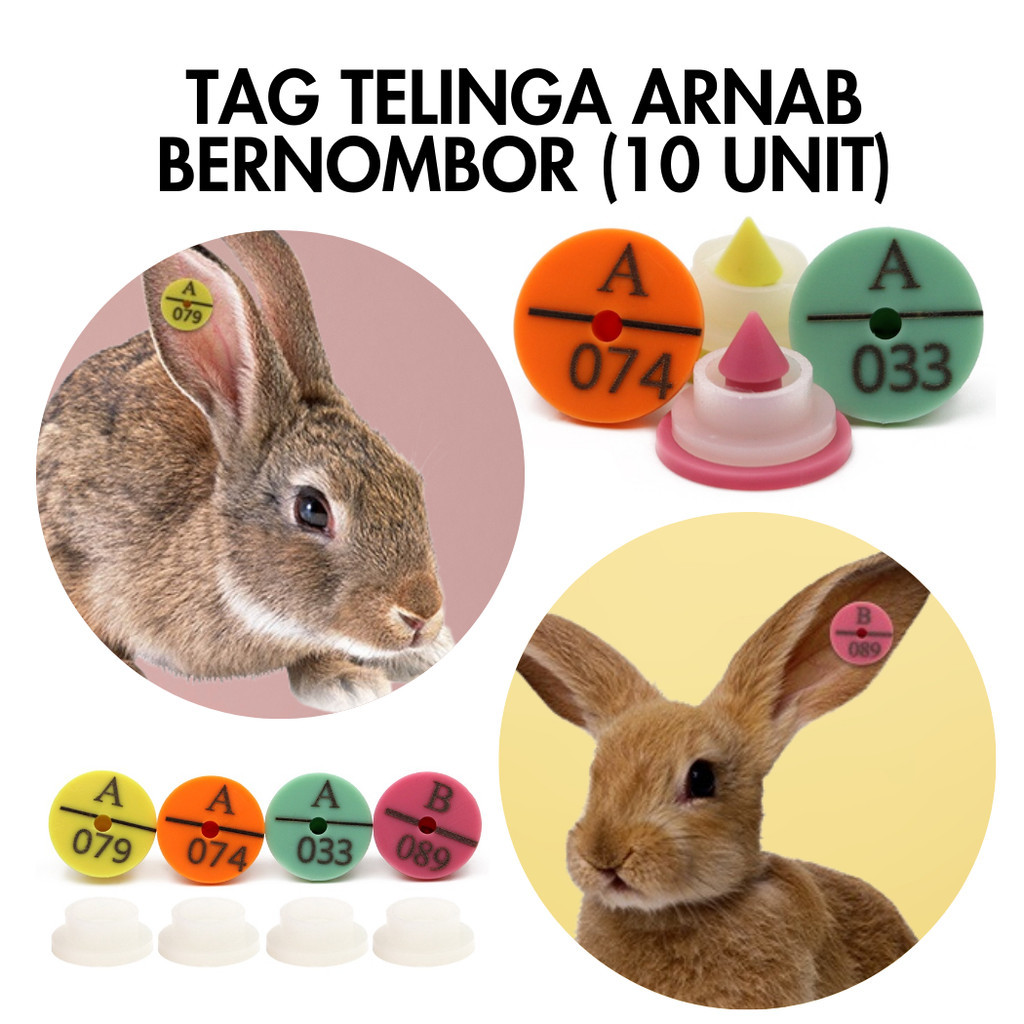 [10 UNIT] TAG TELINGA ARNAB BERNOMBOR | RABBIT EAR TAG WITH NUMBER ...