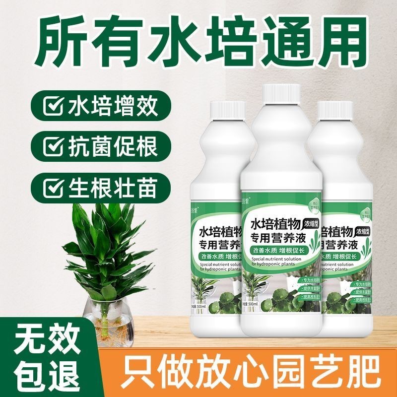 Hidroponik baja khas larutan nutrien pekat kaya buluh tembaga wang ...