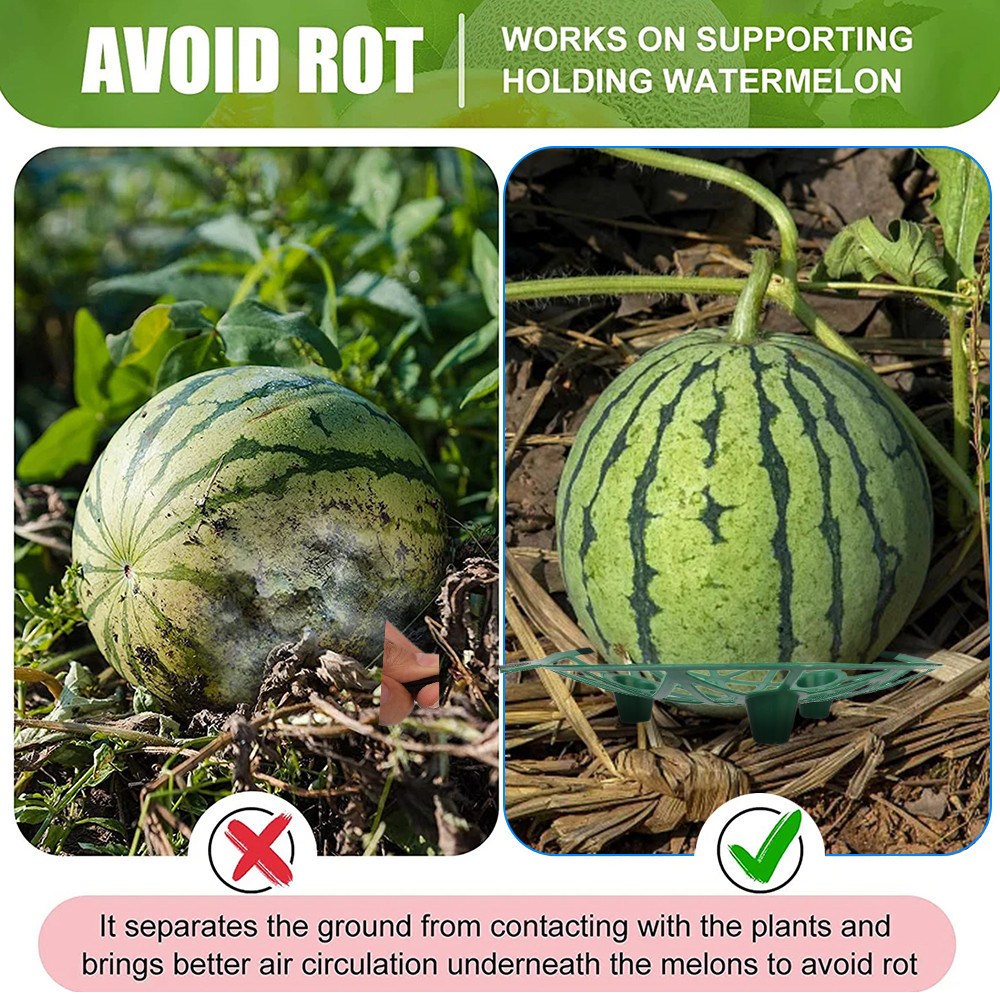 Watermelon Fruit Support Basket Frame Prevents Rot Vegetables Plant ...