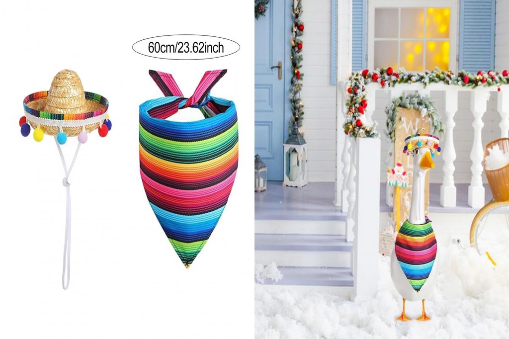 SUNFA Festive Mexican Hat for Geese Vibrant Mexican Sombrero for Geese ...
