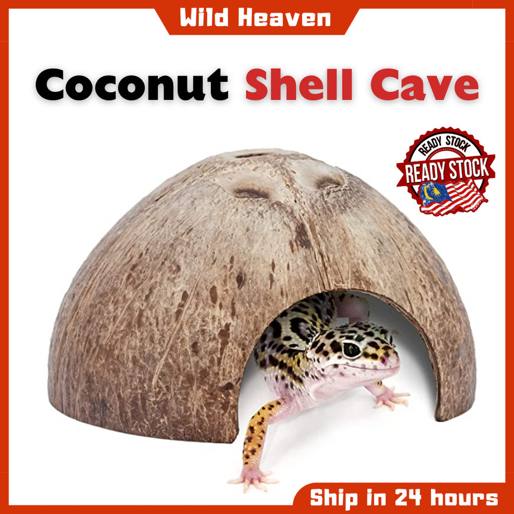 Reptile Hides Cave Coconut Shell Turtle House Reptile Habitat Shelter ...