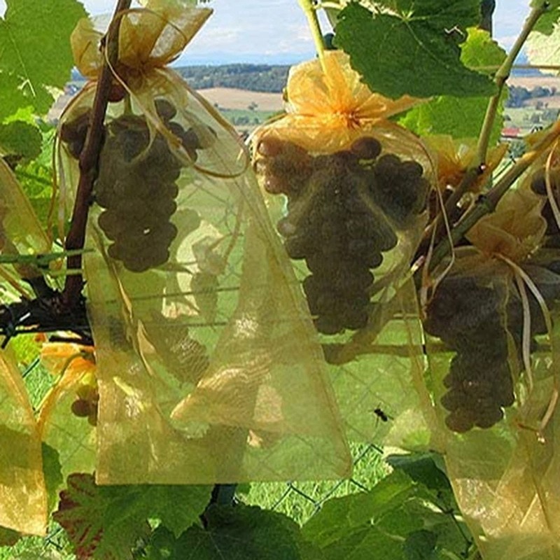 50pcs Fruit Protection Bags Pest Control Anti-Bird Garden Netting ...
