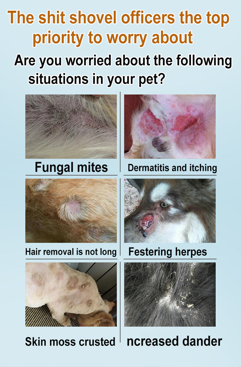 [Doctor recommended] Pet spray for dogs Dog skin disease treatment Dog ...