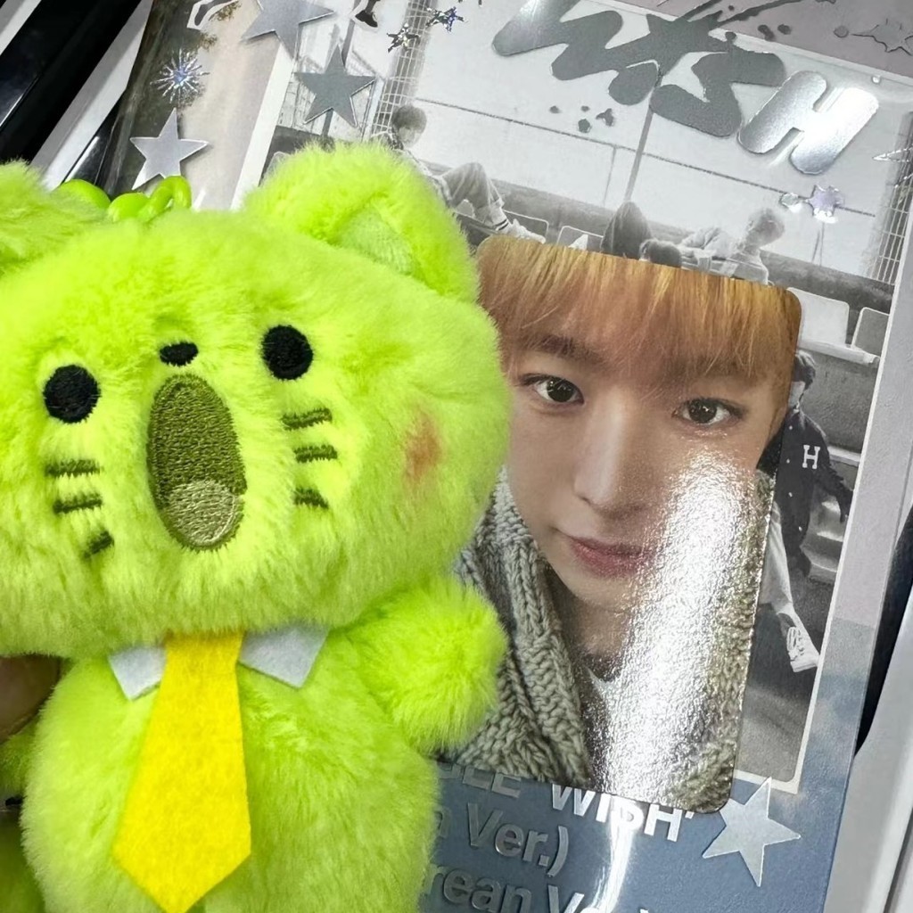 Kpop Idol NCT WISH Yushi Plush Keyring Green Cat Doll Stuffed Toys ...