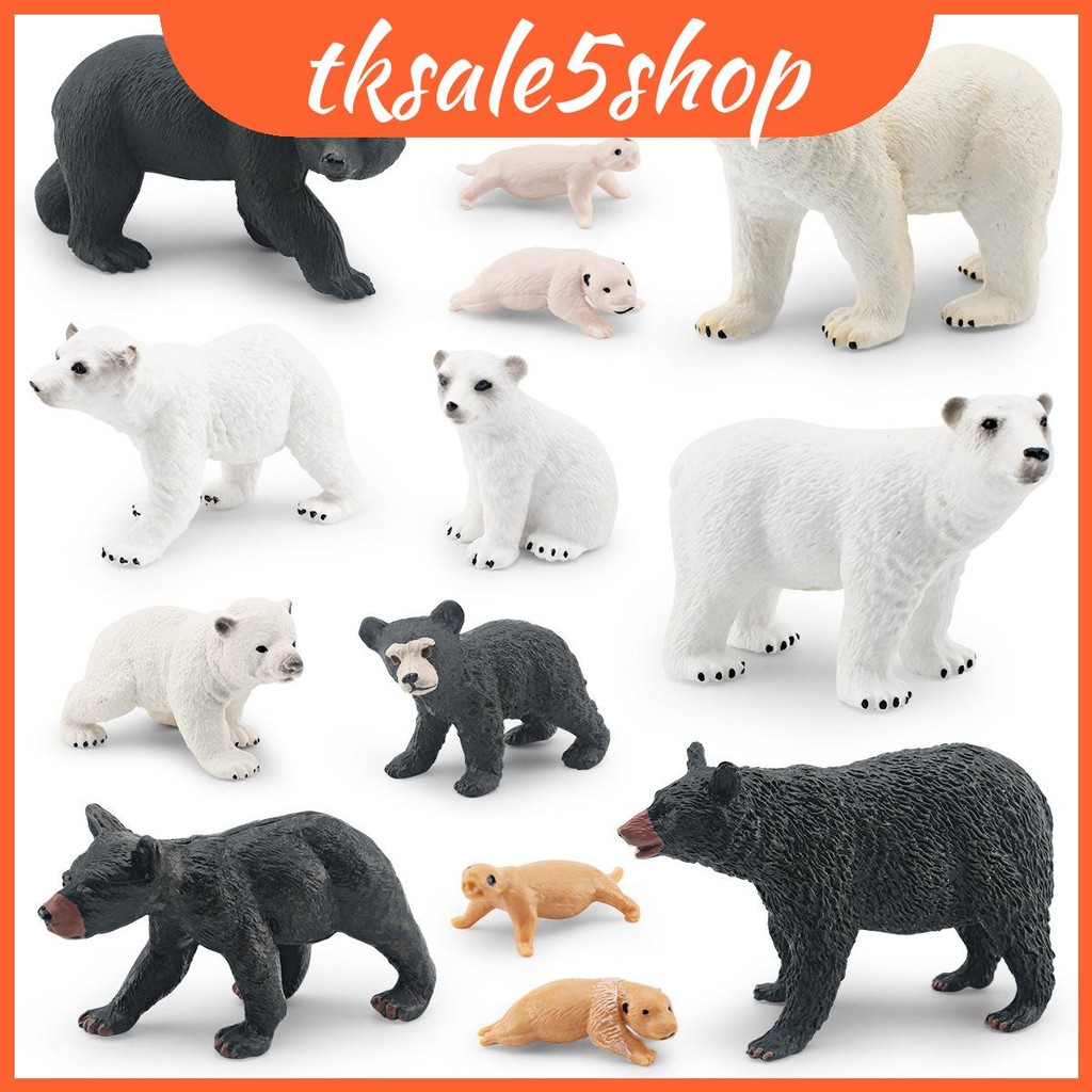 Pvc Stunning Bear Lifecycle Models Including Polar Bear And Variants ...