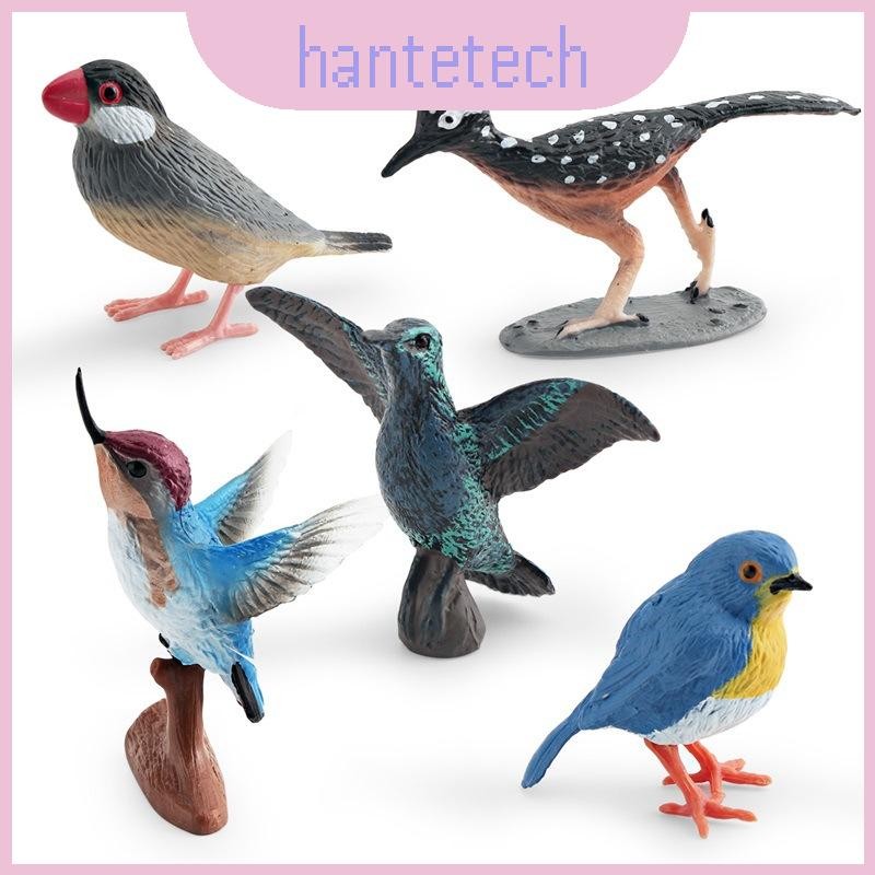 Bird Plastic Unique Models Of Hummingbird Finch And Cuckoo Perfect For ...