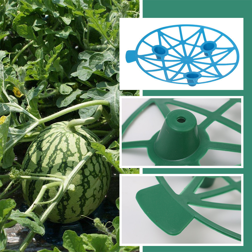 Watermelon Fruit Support Basket Frame Prevents Rot Vegetables Plant ...