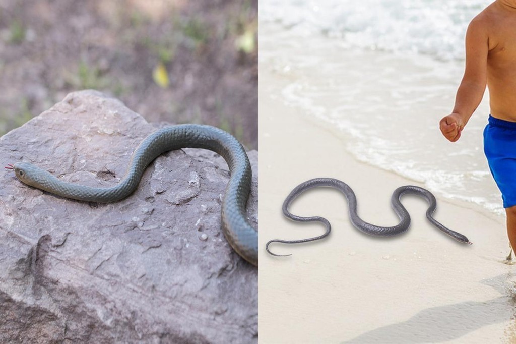 (aniasan) Bendable Snake Toy Realistic Snake Toy Realistic Rubber Snake ...