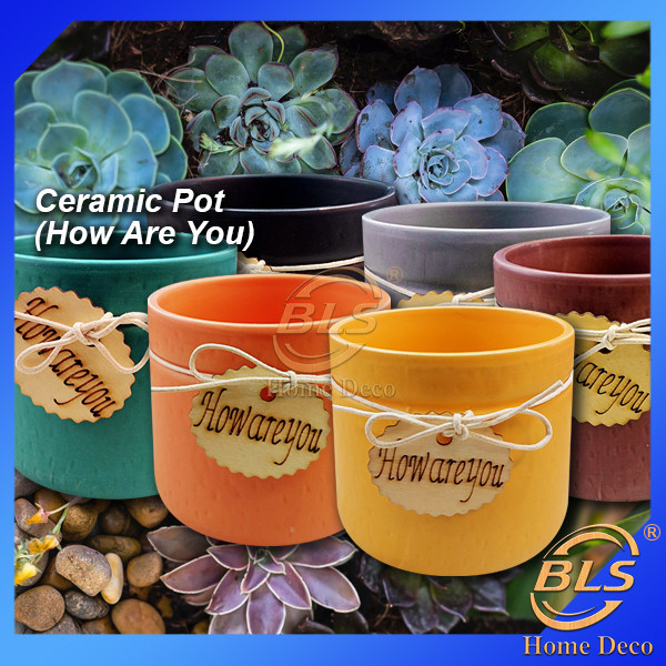 Pottery Flower Pot Cactus Succulent Ceramic Pot (How Are You) Pasu ...