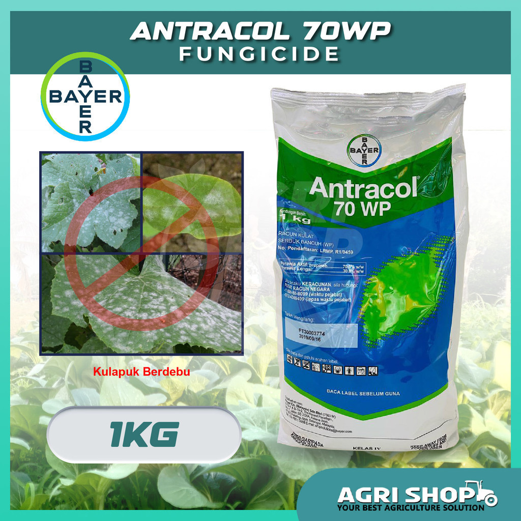 Agrishop 1kg BAYER ANTRACOL 70WP | Propineb 70% | Fungicide | Racun ...