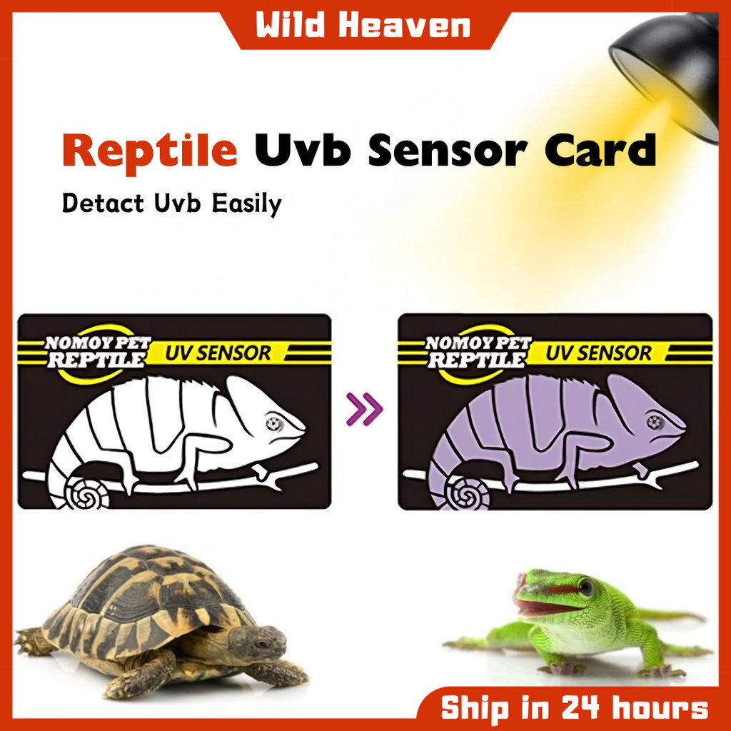 Reptile Uvb Sensor Card Uv Tester Indicator Basking Lamp Test Turtle ...