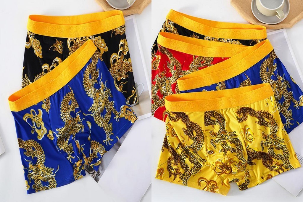 PTM Dragon Print Men Underwear Dragon Themed Men Underpants Dragon ...