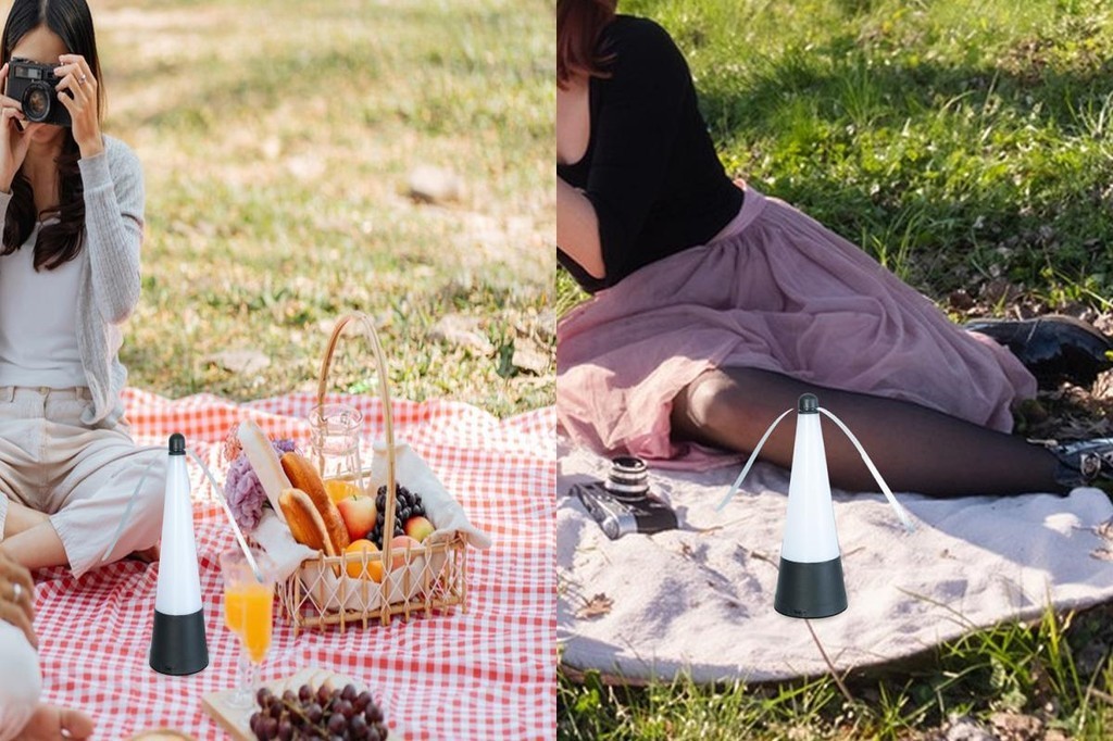 Insect Repellent Rechargeable Fly Fan with Light and Holographic Blades ...