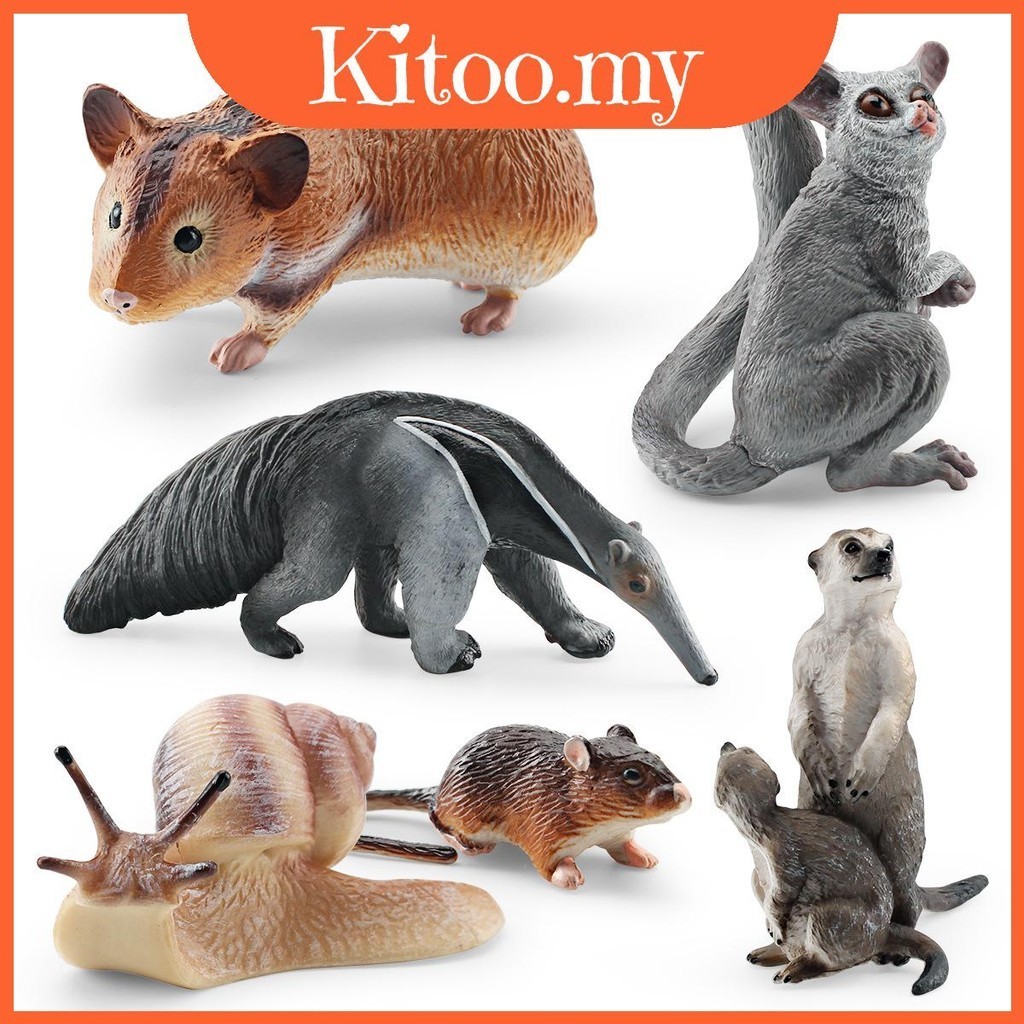 Character Non-cartoon Kids' Cognitive Simulation Snail Pouch Wombat ...